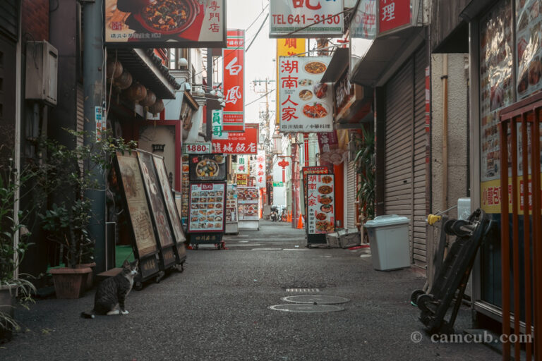 SONY α7CII 実写レビュー | CamCub Chronicles