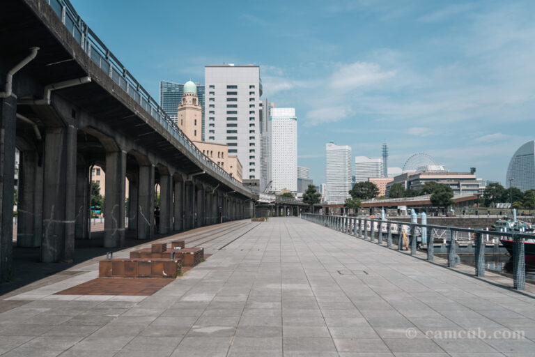 SONY α7CII 実写レビュー | CamCub Chronicles